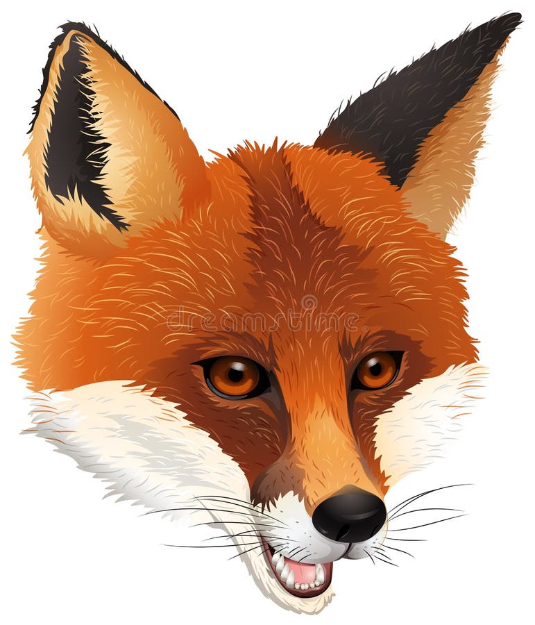 Een vos vector illustratie. Illustration of jacht, allesetend - 37515519