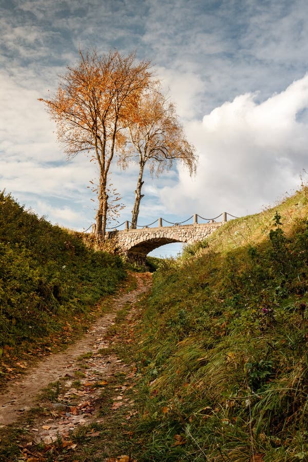 Weg door het ravijn stock foto. Image of logboek, rusland - 139916630
