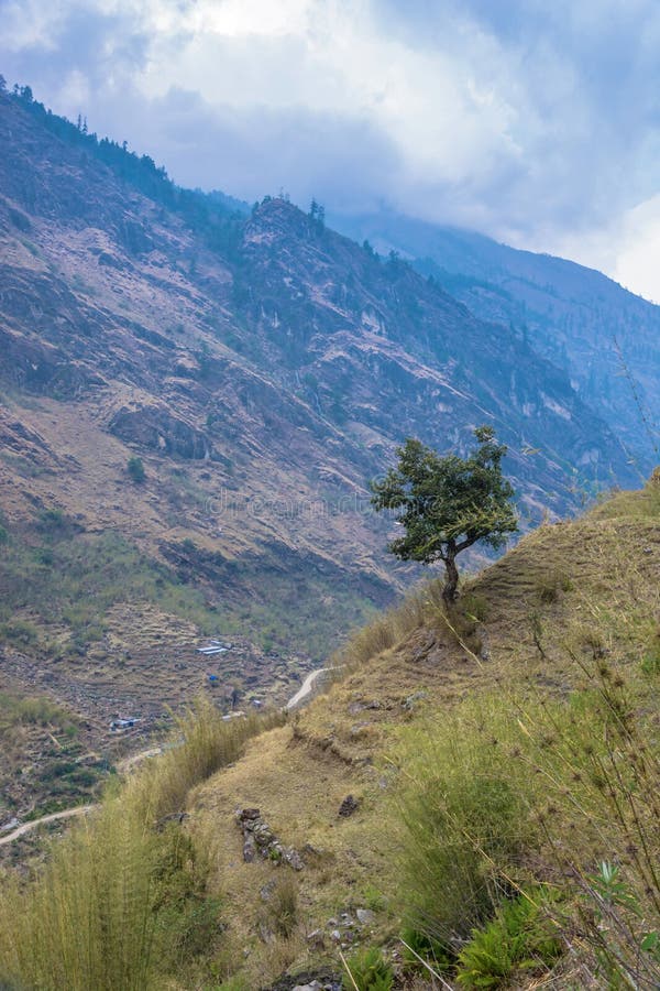 Steile Helling Met Margrieten Stock Foto - Image of weide, bloem: 98886060