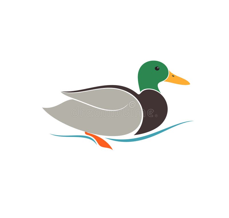 Eend vector illustratie. Illustration of eend, water - 48168356