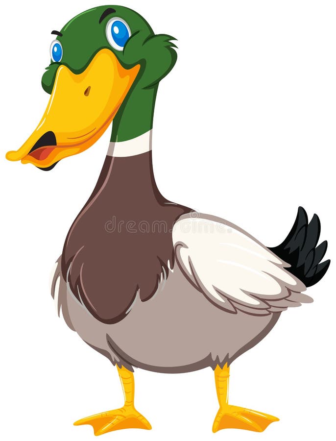 Eend met zwarte veer vector illustratie. Illustration of voorwerp ...