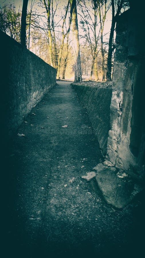 An Eerie Path on a Spooky Foggy Winters Day in the Countryside. with a ...
