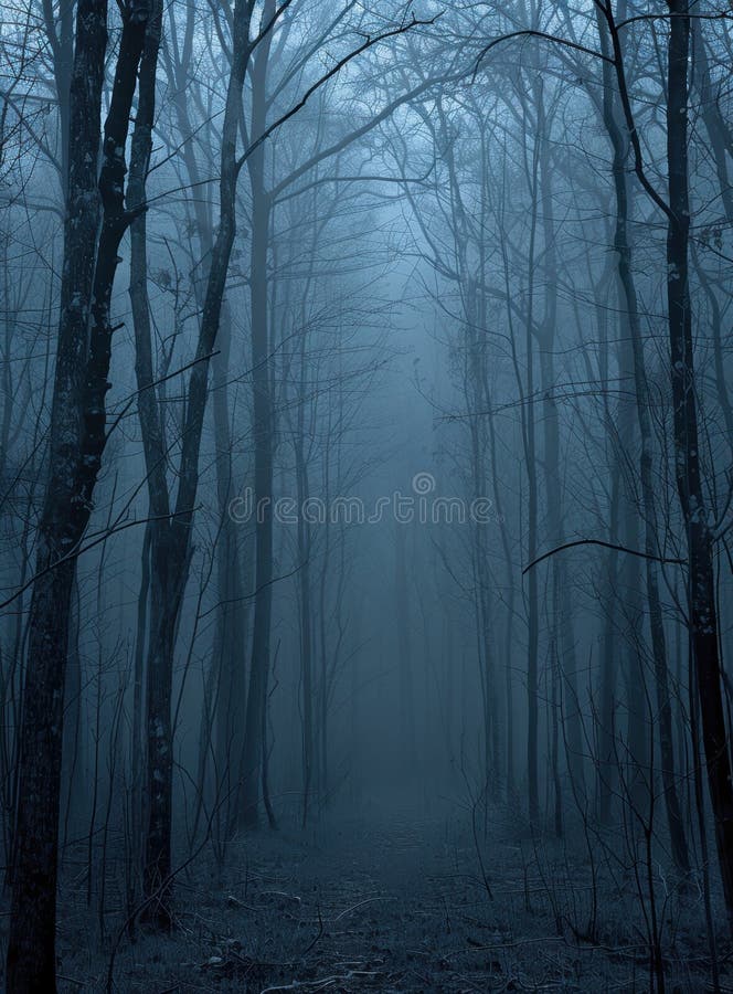 Eerie Forest Path in the Mist Stock Illustration - Illustration of ...
