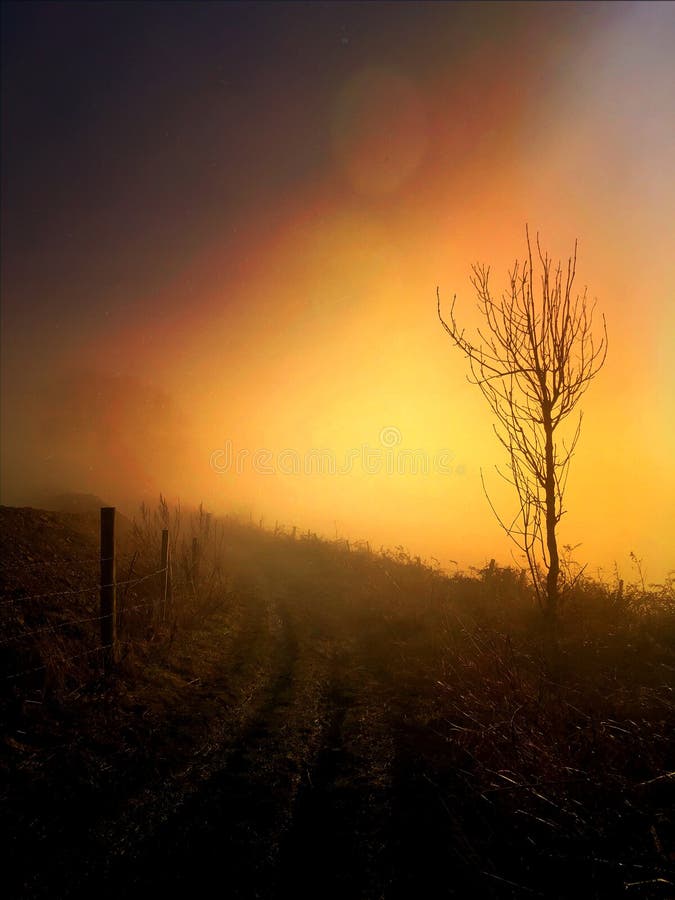 Eerie Path on a Country Walk Way Stock Image - Image of pathway, tree ...