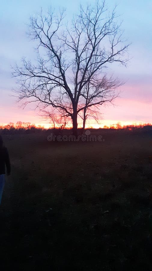 An eerie sunset stock image. Image of beautiful, nature - 169062415