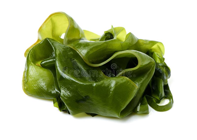 Zeewier stock foto. Image of enkelvoudig, bali, cultuur - 33177116