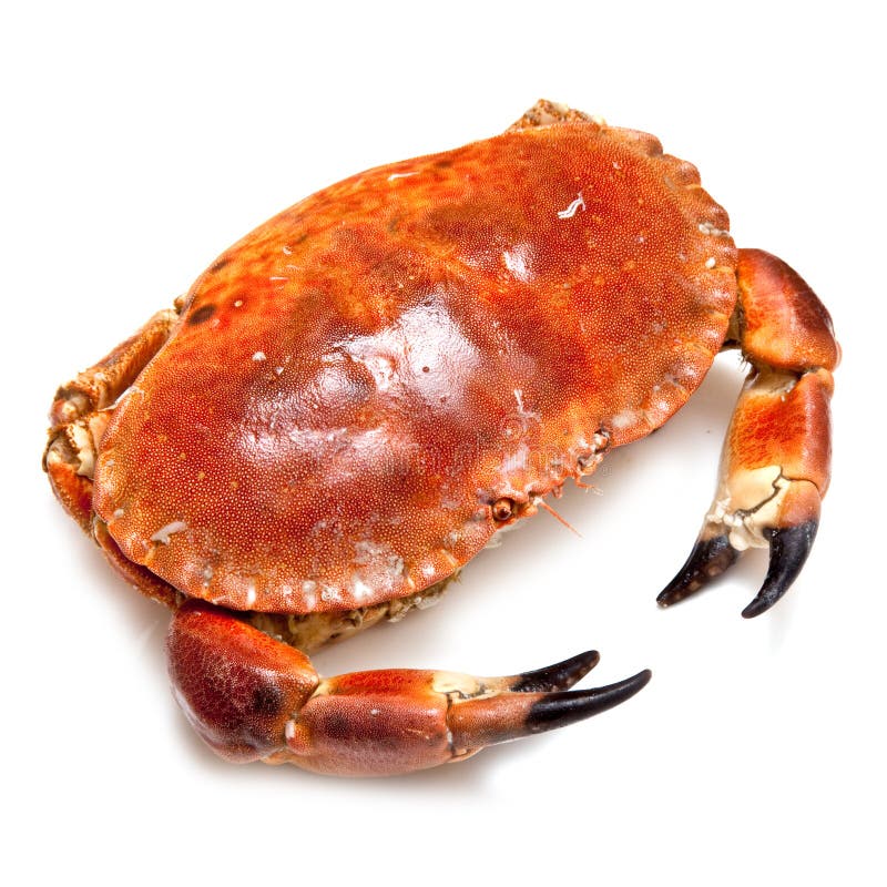 Gekookte, Eetbare Insecten En Rupsen Voor Menselijke Consumptie in Een ...