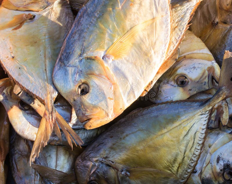Eetbare vis op een plaat stock foto. Image of omega - 168459764