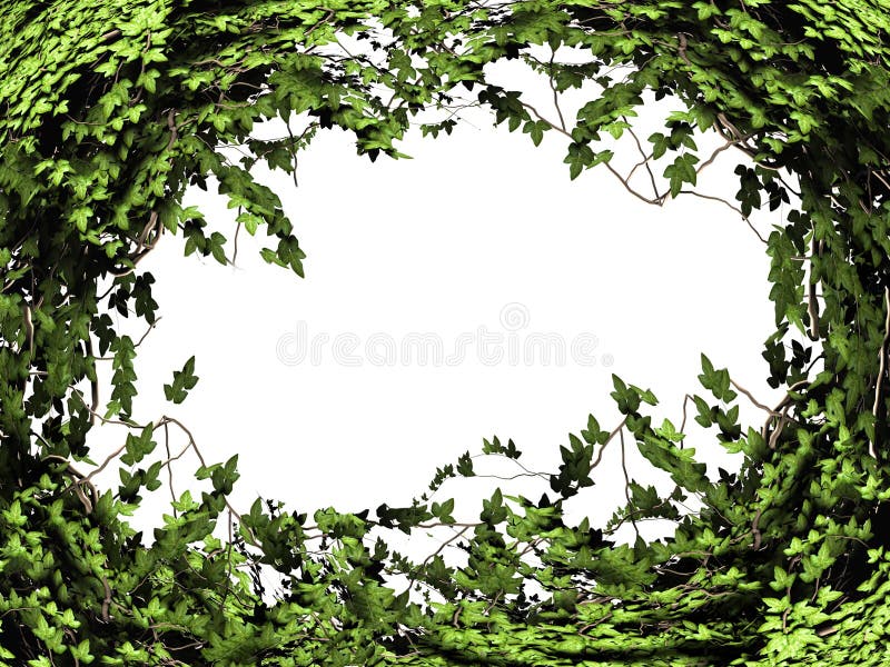 Efeu Stock Illustrationen, Vektoren, & Kliparts - 15,523 Stock ...