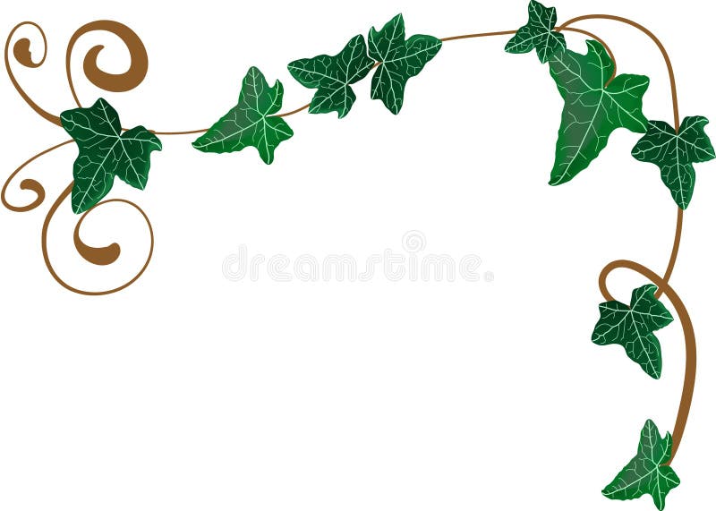 Ecke vom Efeu vektor abbildung. Illustration von steigung - 4970412