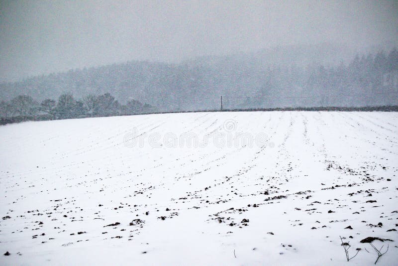 The Effect of the Beast from the East Winter Snow Storm in ...