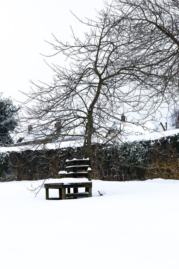 The Effect of the Beast from the East Winter Snow Storm in ...