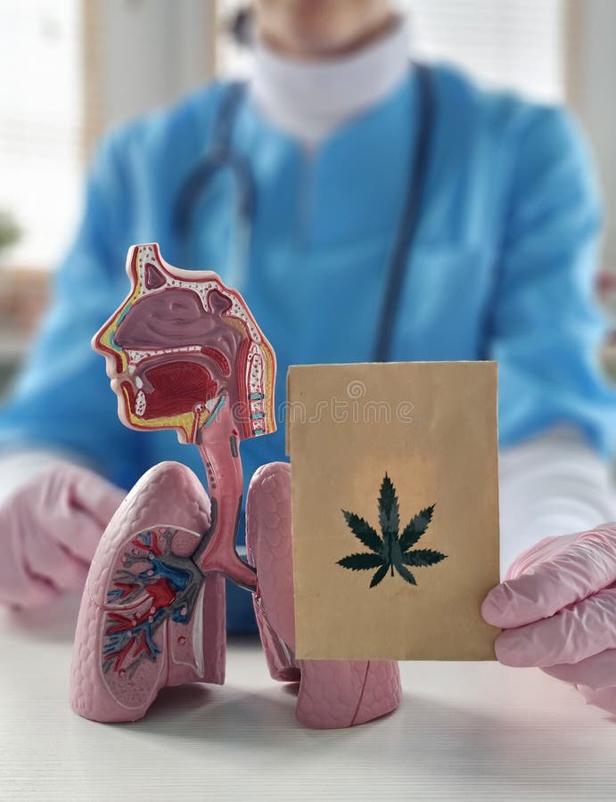 Effect of Cannabinoids on Body and Lungs Doctor Holds a Bag of ...