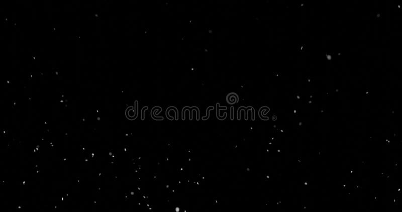 Dust Particles for Video Overlay Stock Footage - Video of white, dust ...
