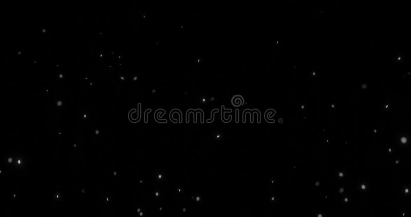 Dust Particles for Video Overlay Stock Footage - Video of white, dust ...