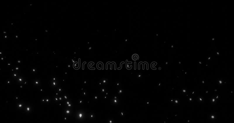 Dust Particles for Video Overlay Stock Footage - Video of white, dust ...