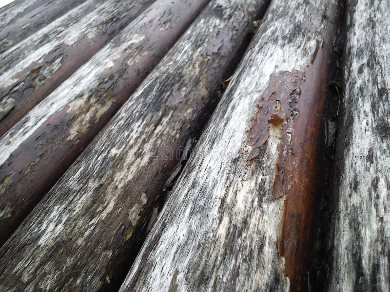 The Effect of Moisture on Wood. a Construction Log for Use in ...
