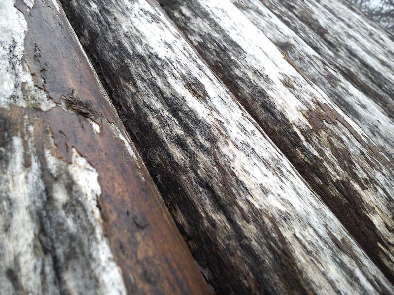 The Effect of Moisture on Wood. a Construction Log for Use in ...
