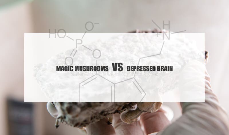The Effect of Psilocybin on the Mental State of a Sick Person ...