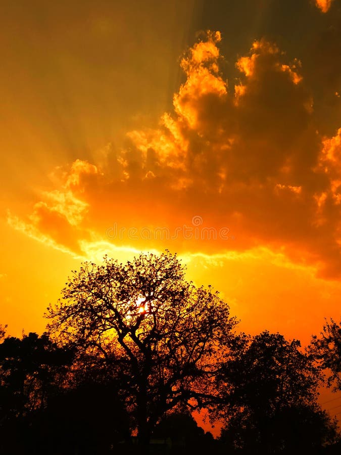 The Effect of Sunlight during Sunset and Sun Rise, Beautiful Color of ...