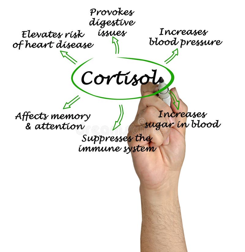Blood for Cortisol Hormone Test Stock Photo - Image of hypothalamus ...