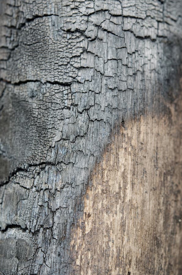 The after Effects of a Fire Stock Image - Image of burnt, trail: 40954529