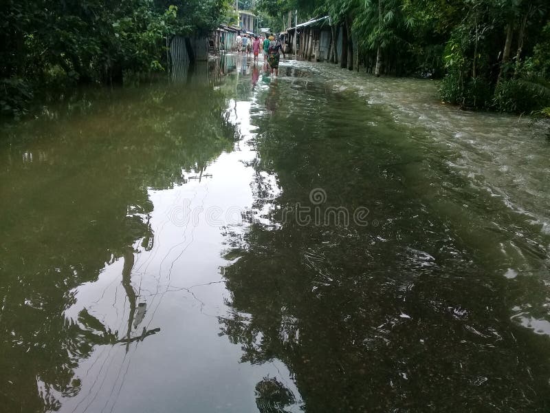 Effects of flood stock photo. Image of flood, poor, effects - 192045076