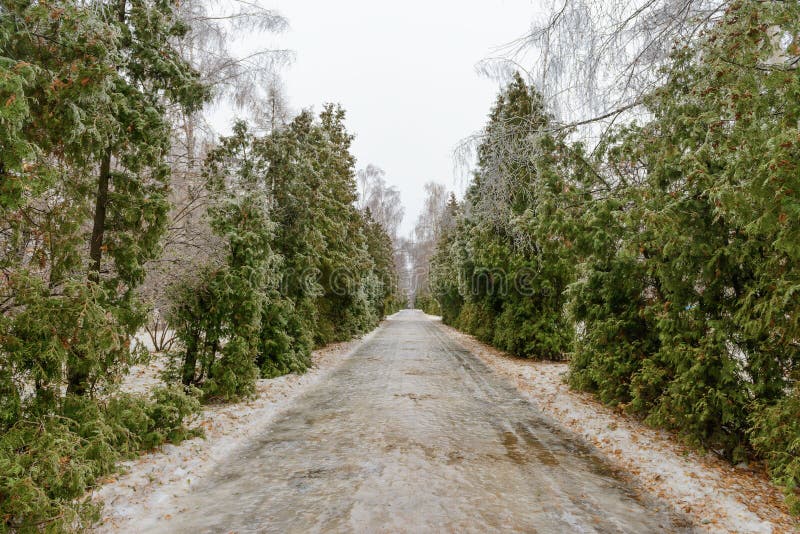 The Effects of Freezing Rain in the Alley Stock Photo - Image of ...