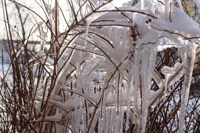 Effects of freezing rain stock image. Image of winter - 140748863