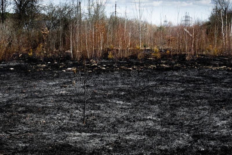 493 Charred Land Stock Photos - Free & Royalty-Free Stock Photos from ...