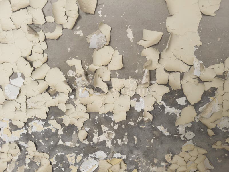 The Effects of Moisture on a Masonry Wall Stock Image - Image of ...