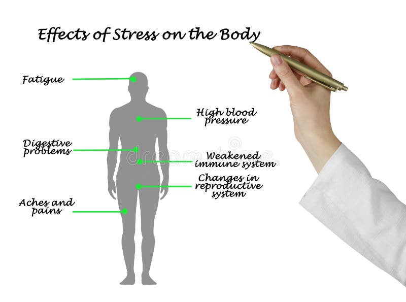 Effects of Stress on the Body Stock Photo - Image of 2965, female ...