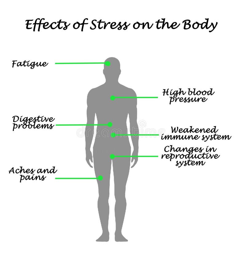 Effects of Stress on the Body Stock Illustration - Illustration of ...
