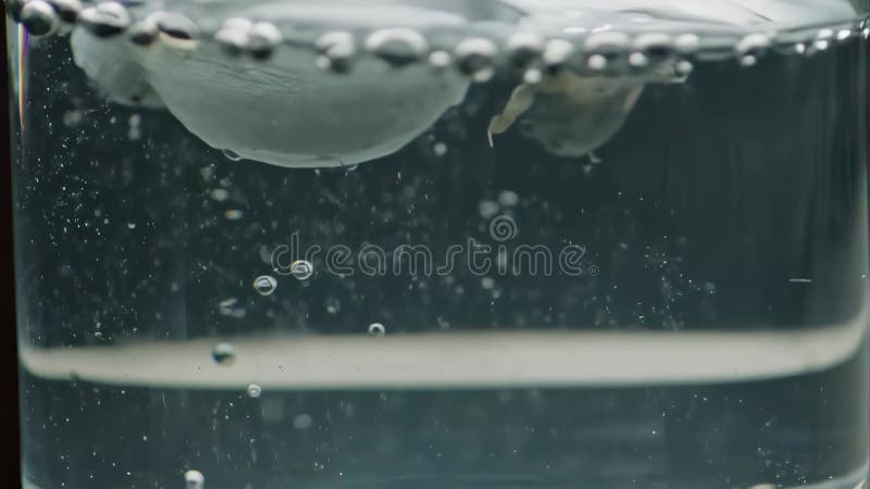 Effervescent Tablet Dissolving in a Glass of Water Stock Video - Video ...