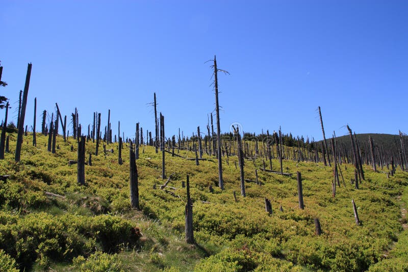 Effet de pluies acides image stock. Image du atmosphère - 21548193