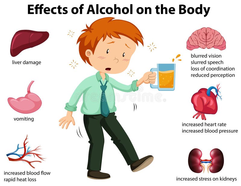 Effetti Di Alcool Sul Corpo Illustrazione Vettoriale - Illustrazione di ...
