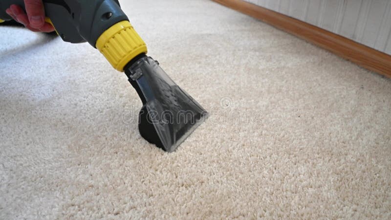 Efficient Carpet Cleaning with Vacuum Suction Technology Displayed in ...