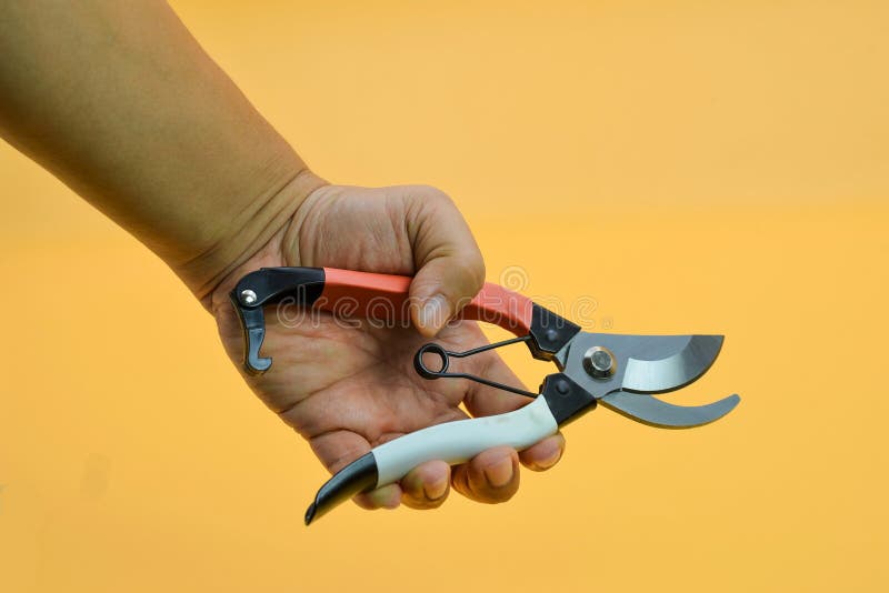 Efficient Hand-held Pruning Shear Held Firmly for Garden Maintenance ...