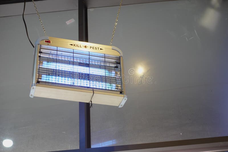 Efficient Pest Control Device Used in Indoor Settings for Safety Stock ...