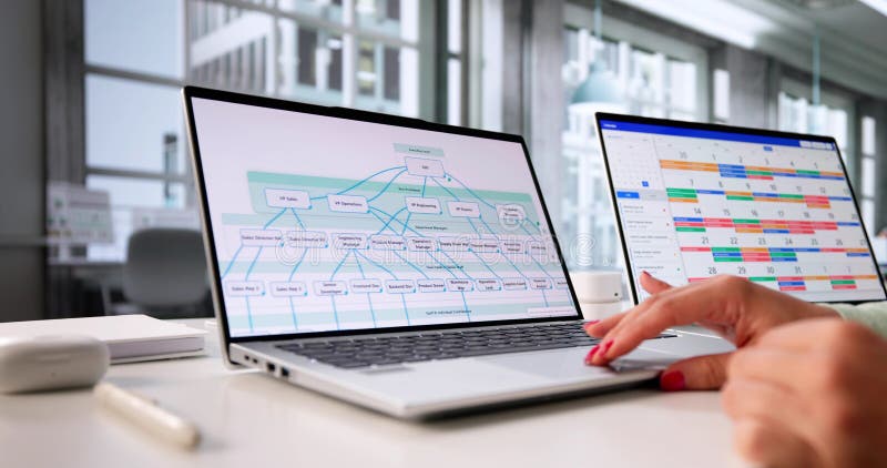 Efficient Project Manager Analyzing Data on Organizational Chart Stock ...
