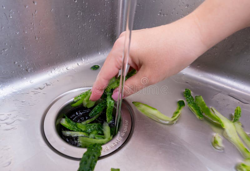 Efficient Waste Disposal: Organic Peels Being Washed into a Kitchen ...