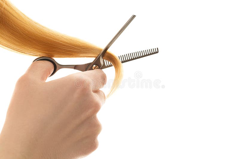 Effiler De Cheveux Des Pointes Fourchues Par Des Ciseaux Photo stock ...