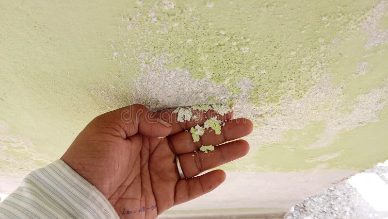 Efflorescenza fotografia stock. Immagine di fibre, parete - 41193328