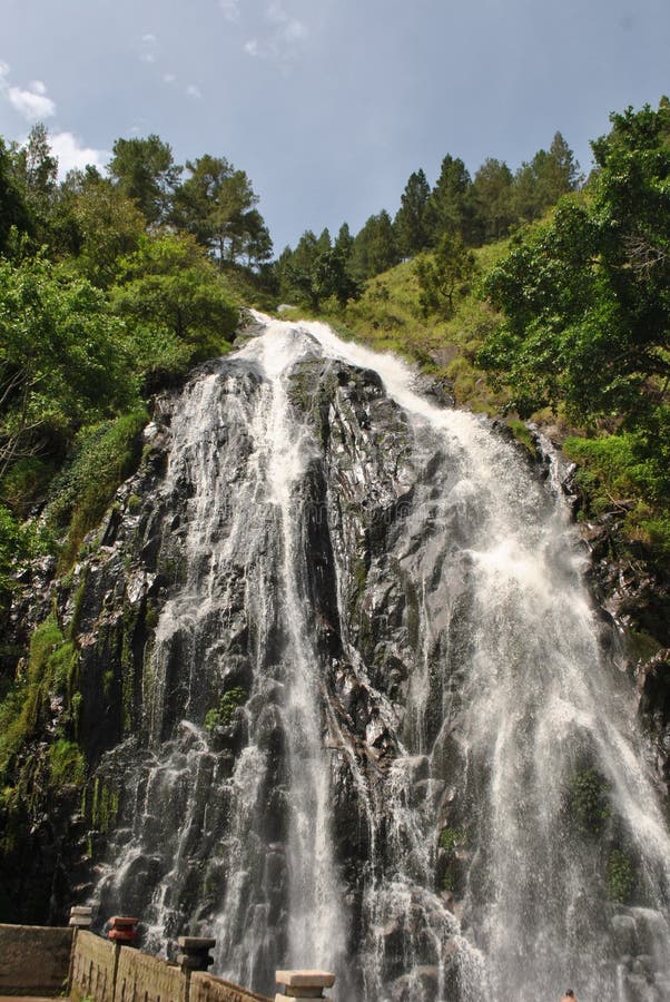 Efrata Waterfall Decorated with Greenery Around it Makes it Look ...