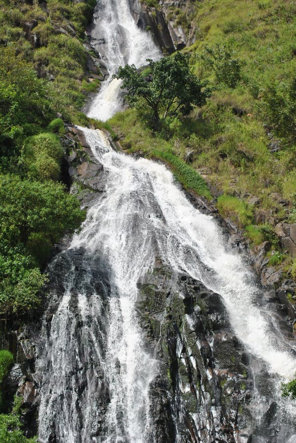 Efrata Waterfall Decorated with Greenery Around it Makes it Look ...