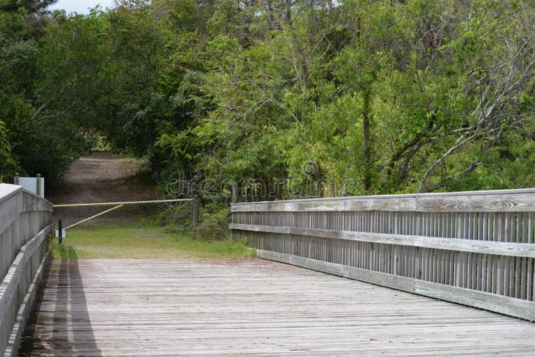 Egans小河林荫道路的木桥里面增加一点魅力到美好的风景 库存图片 - 图片 包括有 北美灰熊, 鳄鱼: 143911669