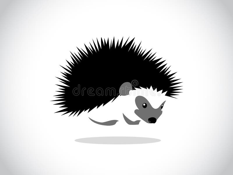 Egel vector illustratie. Illustration of zoogdier, silhouet - 35944891