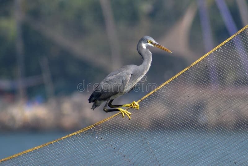 Prabin Tp (Prabinthadathil) - Exclusive Photos