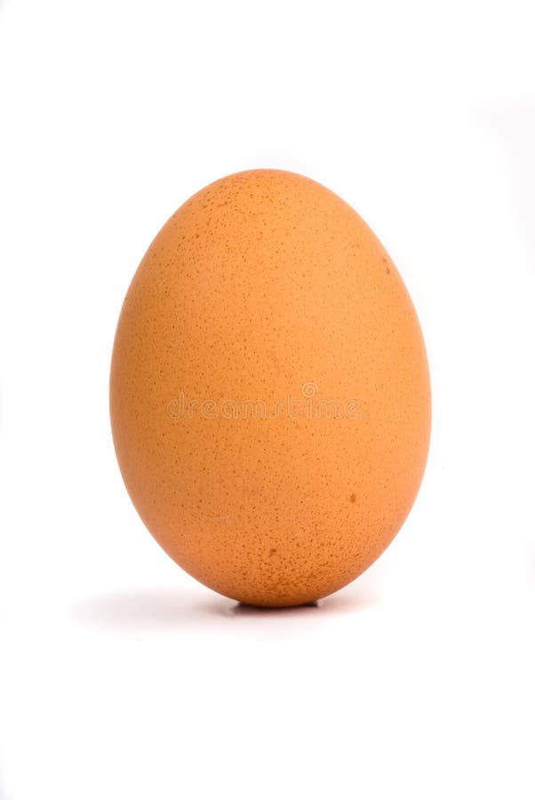 Egg stock photo. Image of cuisine, cutout, nature, macro - 9804046