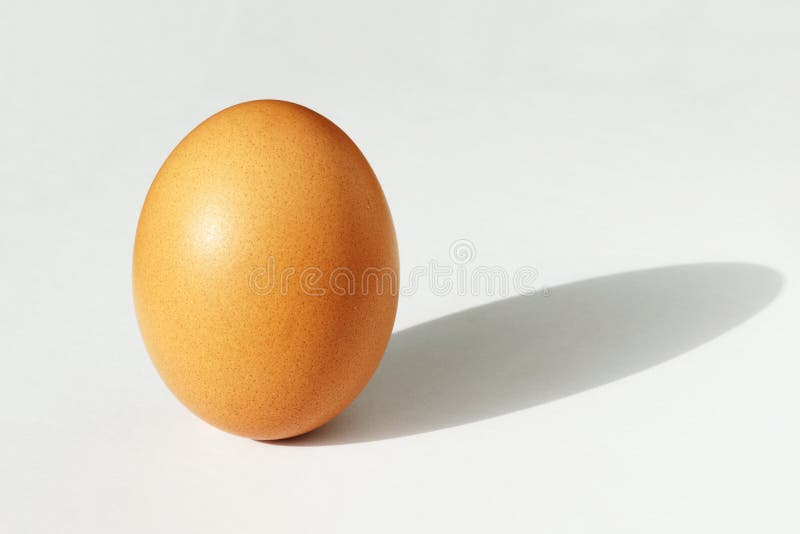 Single egg on white stock photo. Image of shell, protein - 583290